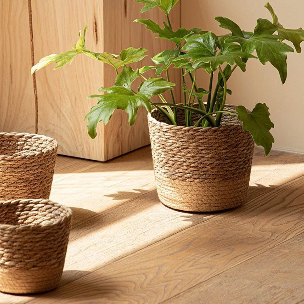 Natural Handwoven Seagrass Planters With Liner Set on Luulla